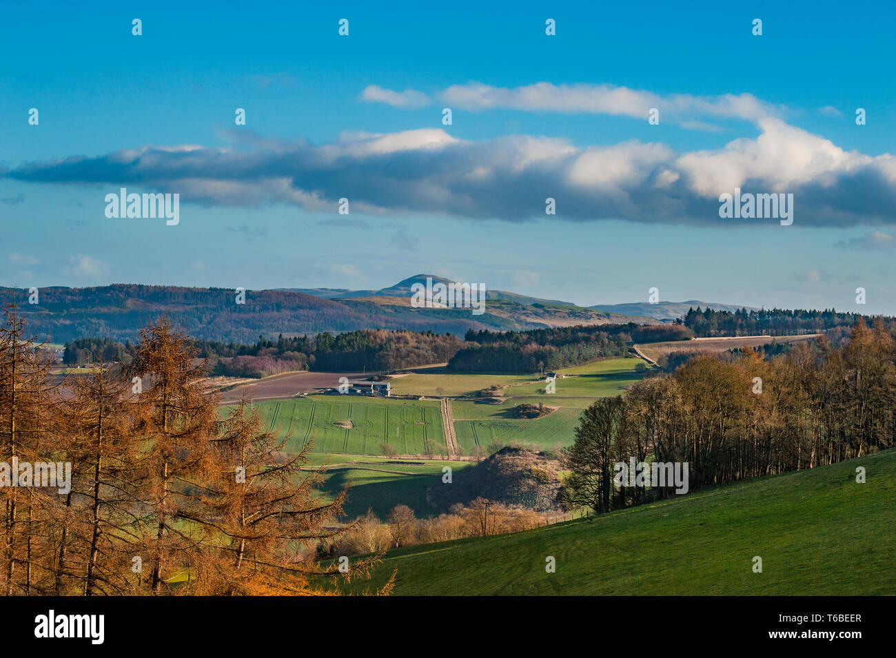 Perthshire farm landscape scotland uk hi-res stock photography and ...
