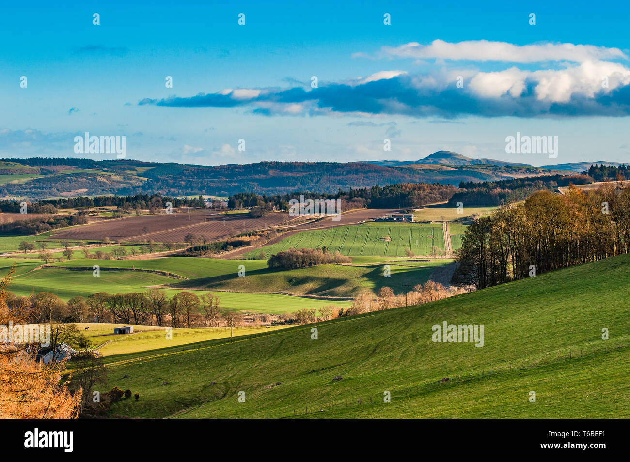 Landscapes of Perthshire, Scotland, UK Stock Photo - Alamy