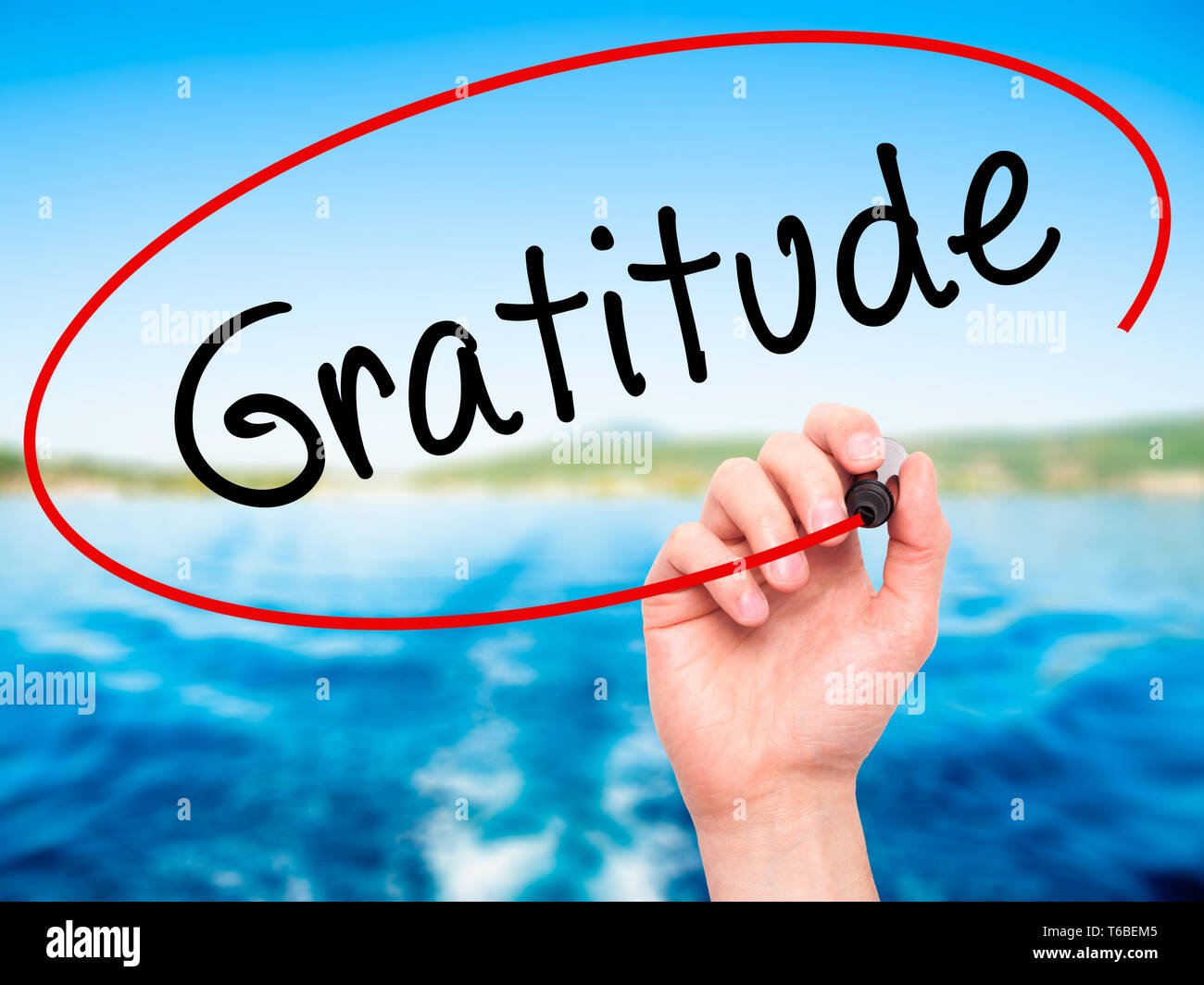Man Hand writing Gratitude with black marker on visual screen Stock ...