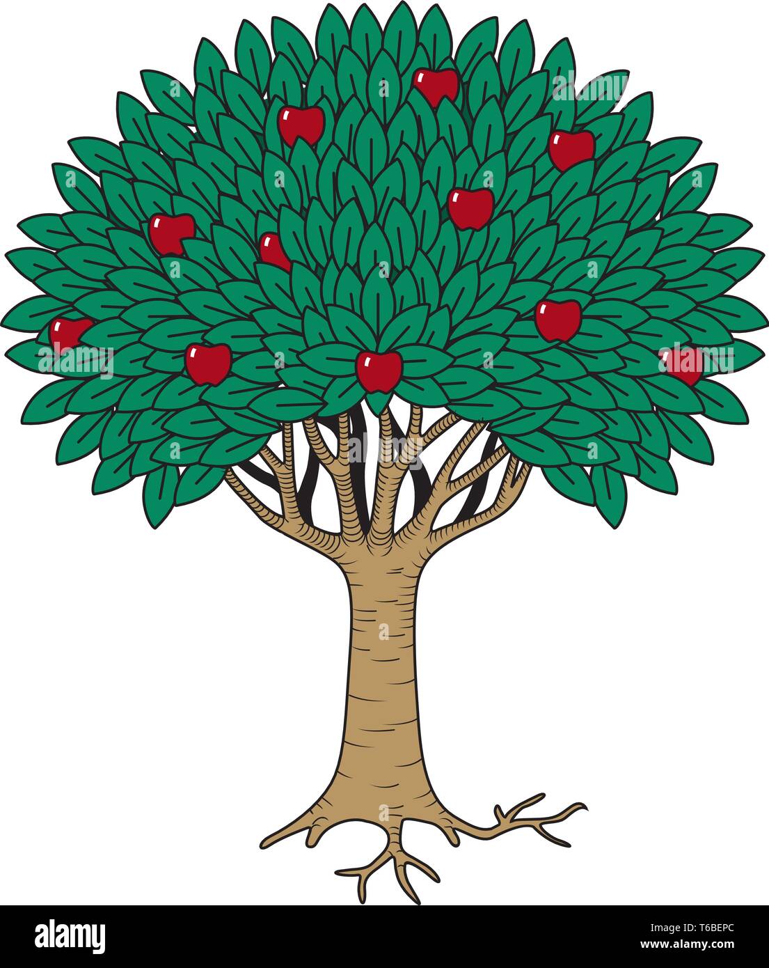 Fruit Tree Vector Illustration Stock Vector Image & Art - Alamy