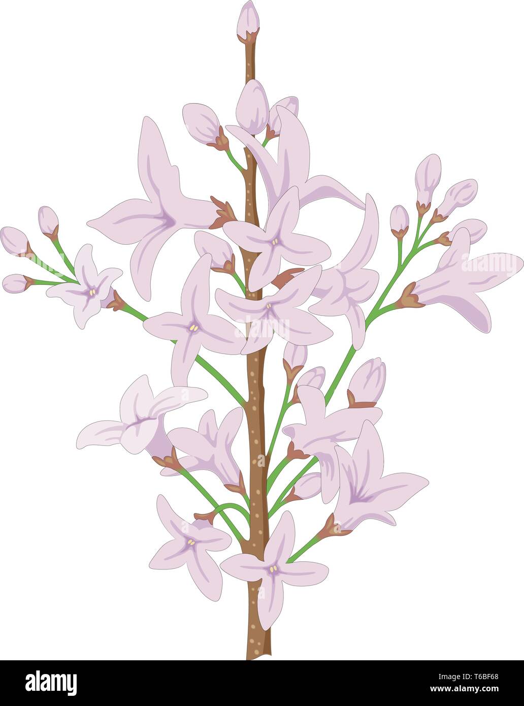 Lilacs Vector Illustration Stock Vector Image & Art - Alamy