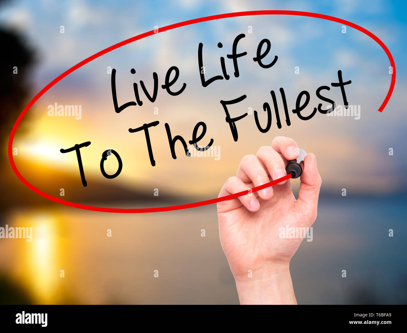 Living Life To The Fullest Pictures