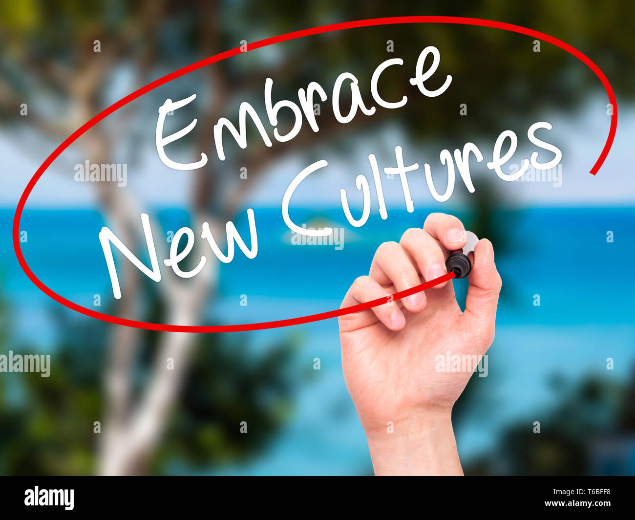 Man Hand writing Embrace New Cultures with black marker on visual ...