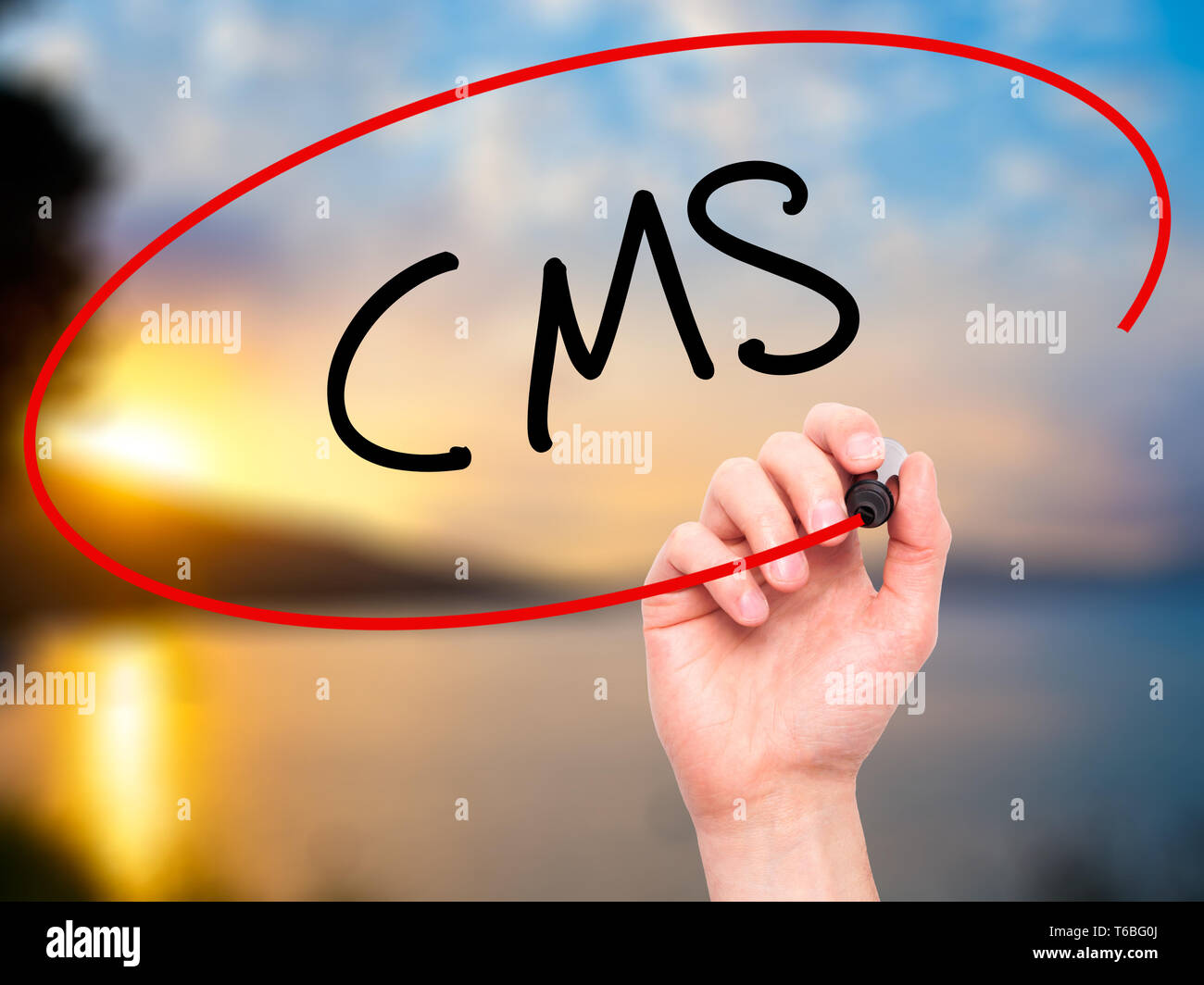 Man Hand writing CMS (Custom Management System) with black marker on ...