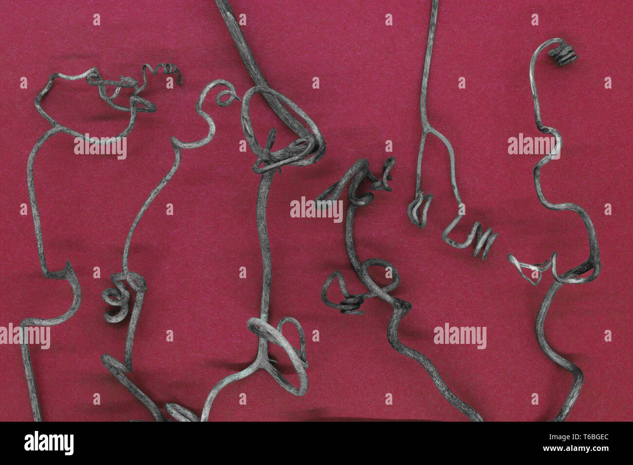 Curled tendrils hi-res stock photography and images - Alamy