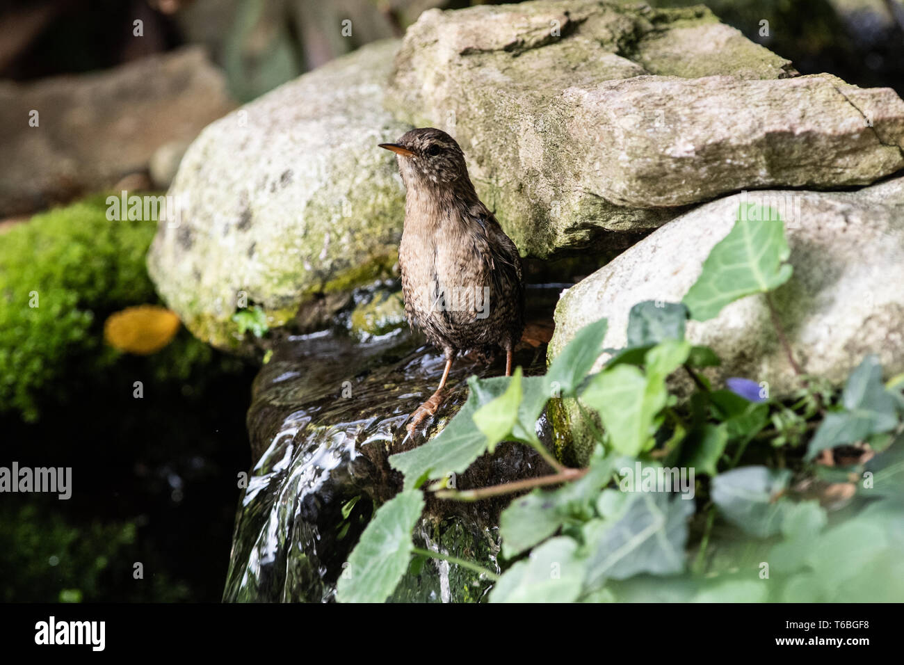 Favourite lookout hi-res stock photography and images - Alamy