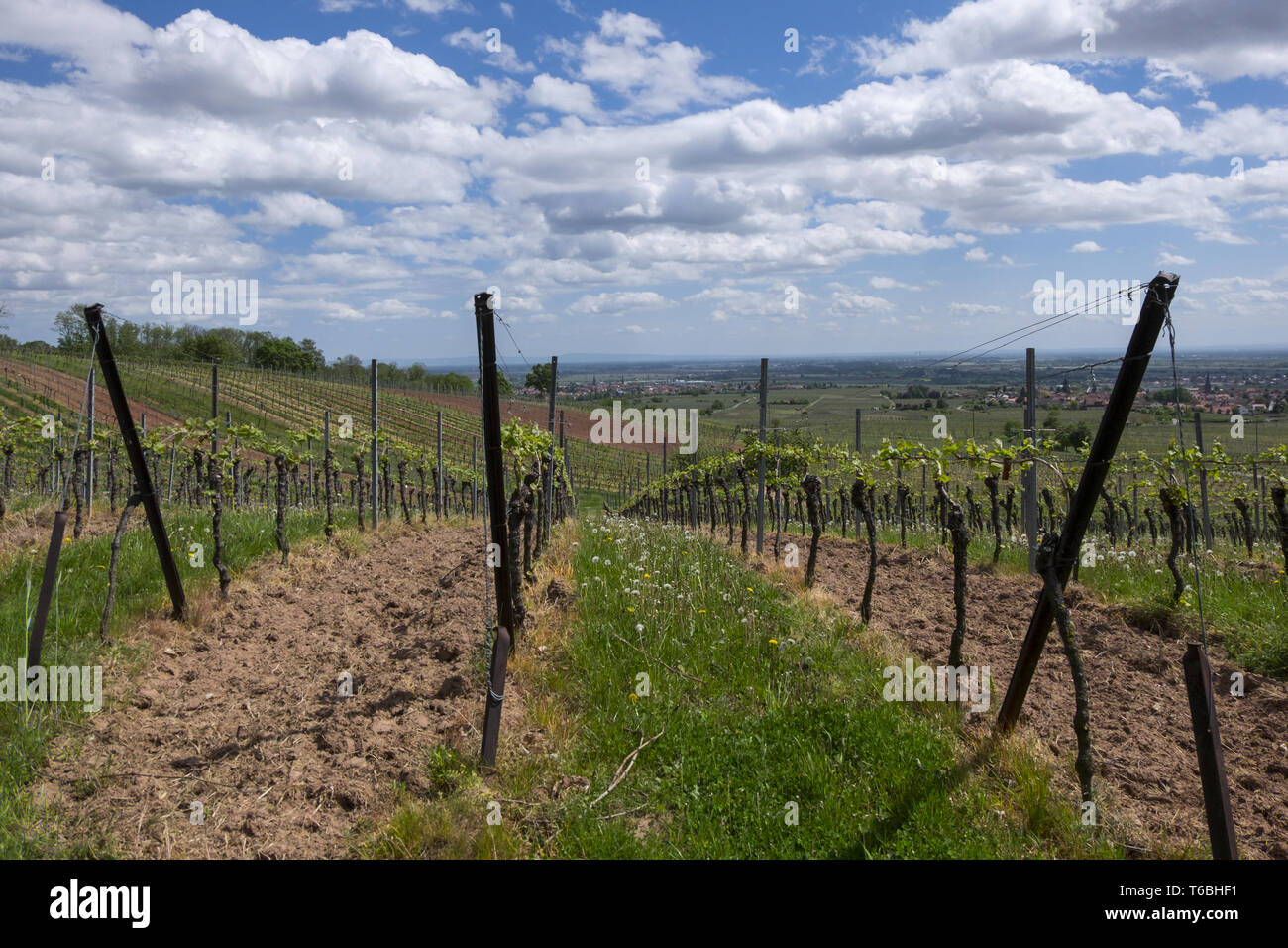 View over plain hi-res stock photography and images - Alamy