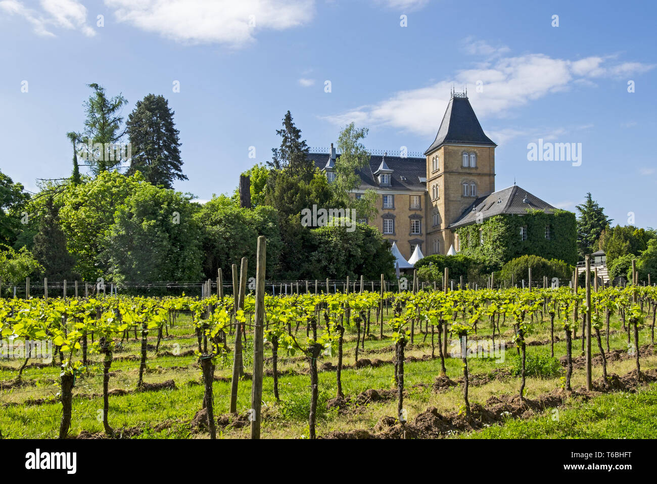 Edesheim hi-res stock photography and images - Alamy