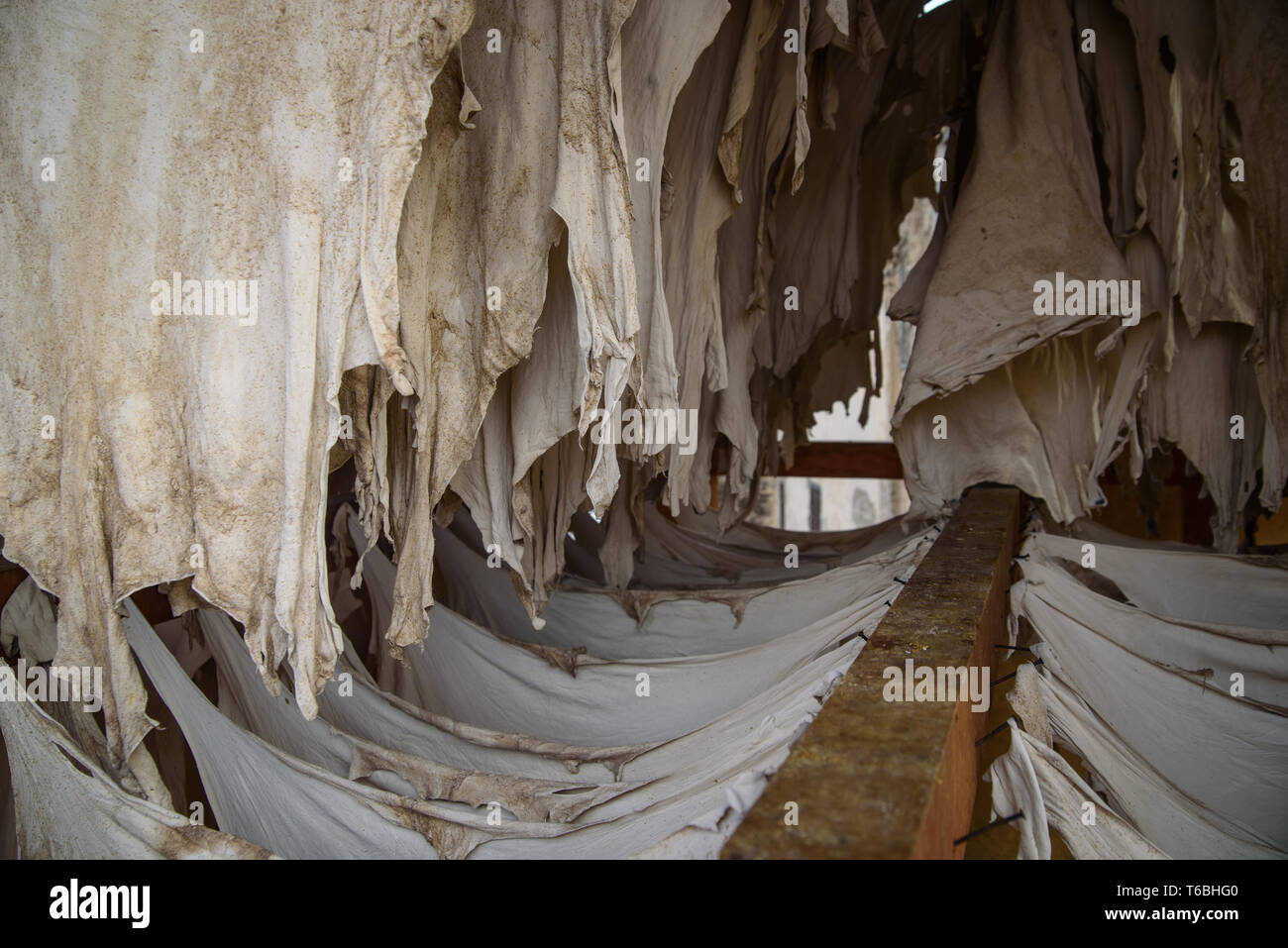 The old tannery hi-res stock photography and images - Alamy