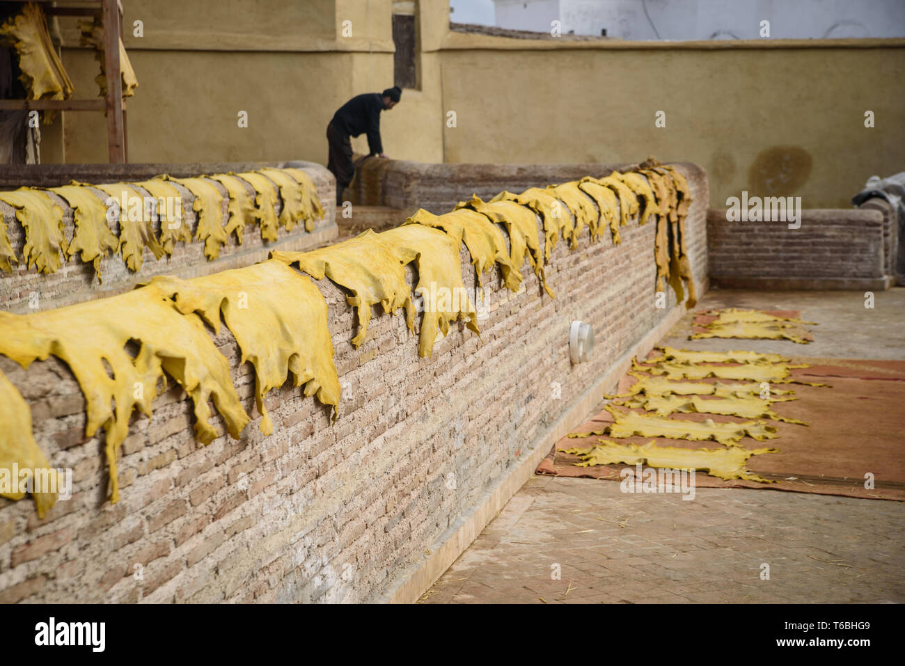 Tannery hi-res stock photography and images - Alamy