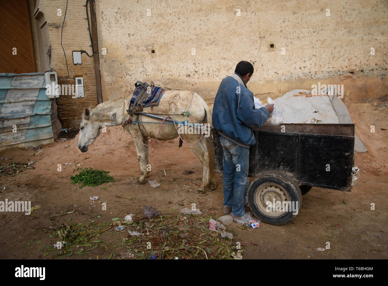 Arabic donkey hi-res stock photography and images - Alamy