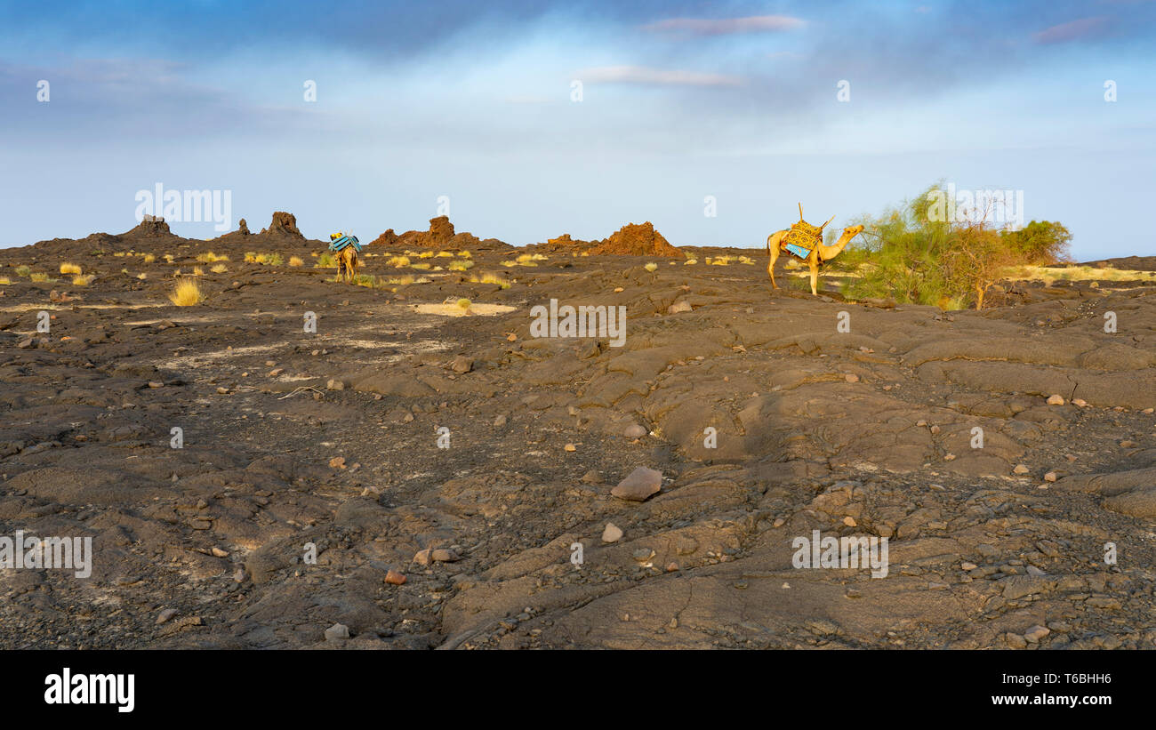The Erta Ale volcano in the Danakil Depression in Ethiopia, Africa ...