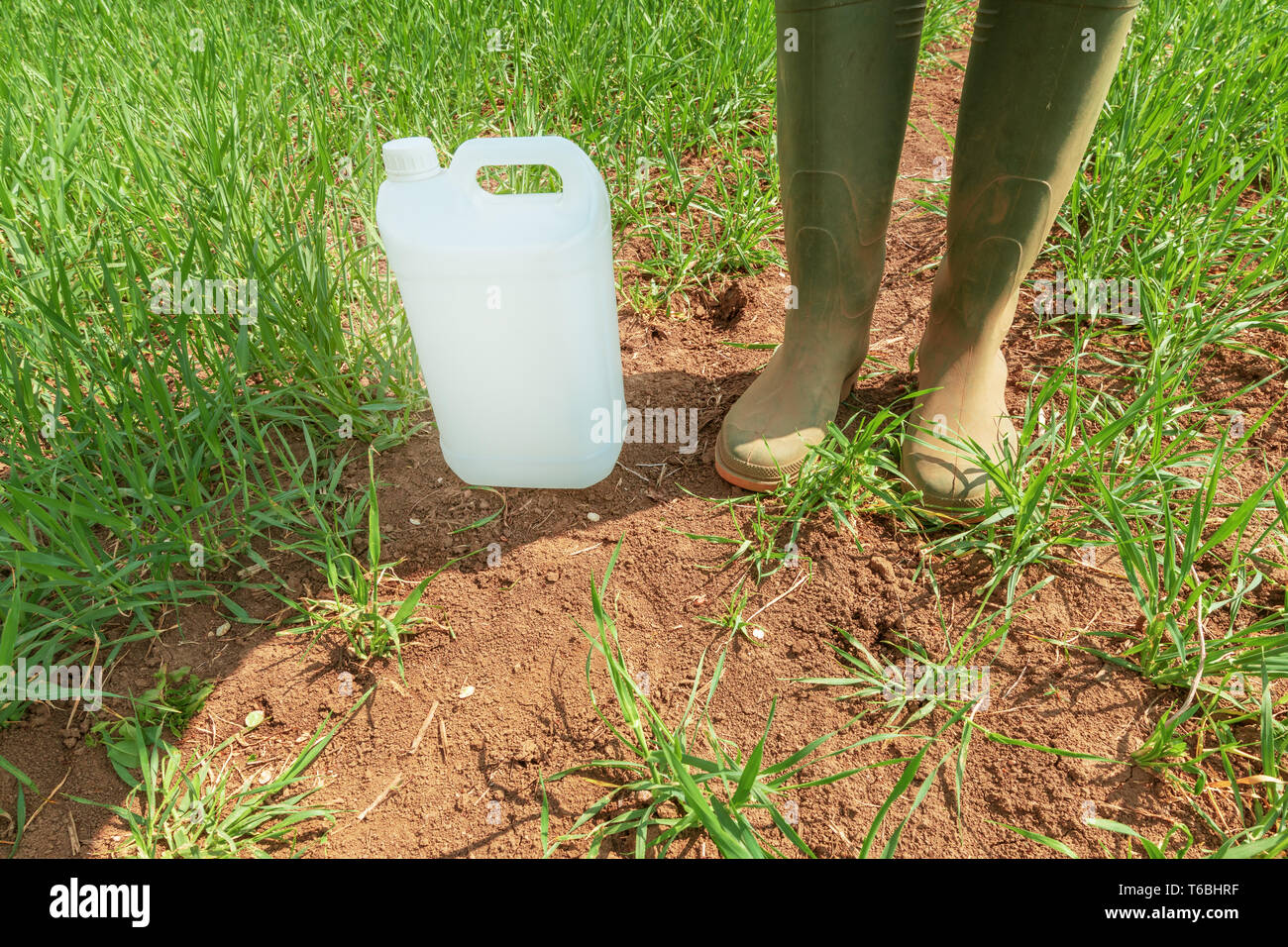 Farmer standing over insecticide jug in wheatgrass field, blank plastic ...