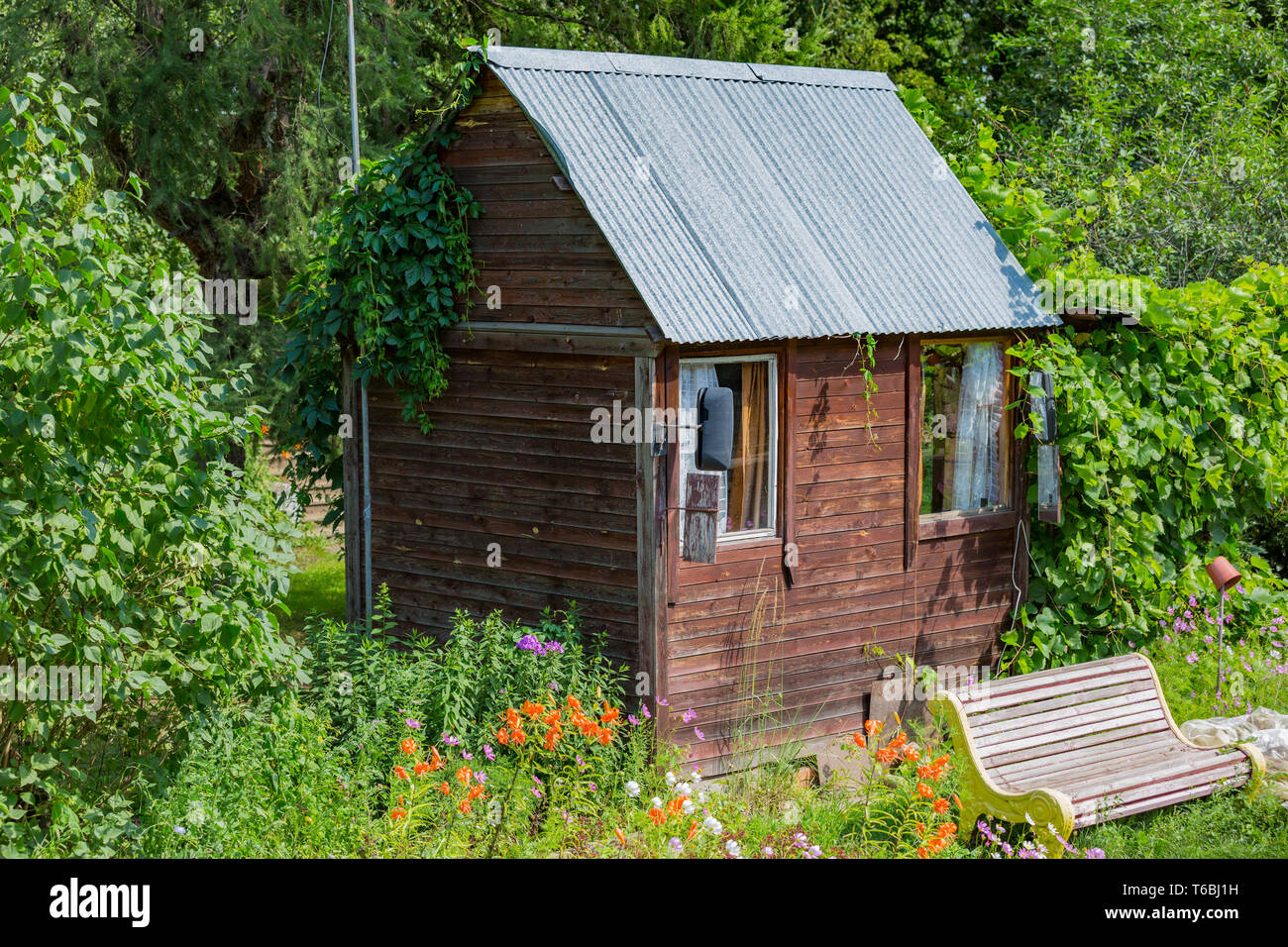 Small house in the forest Stock Photo - Alamy