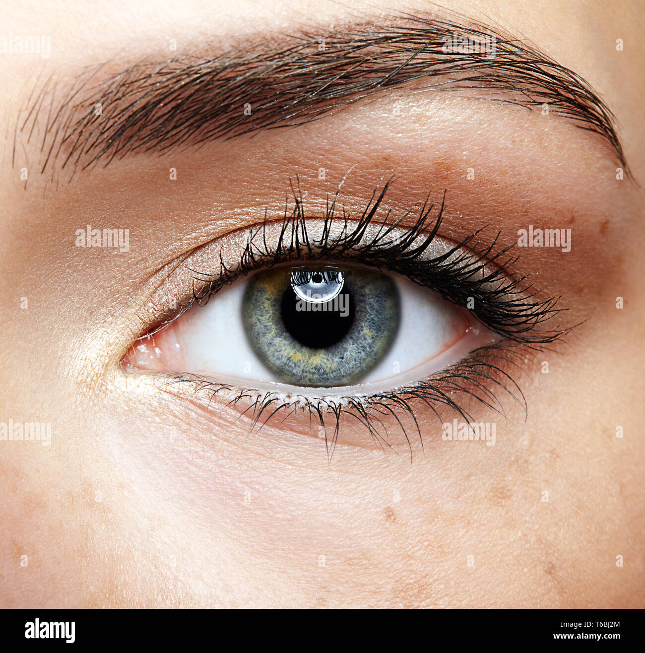 Closeup macro portrait of female face. Human girl eye with day beauty ...