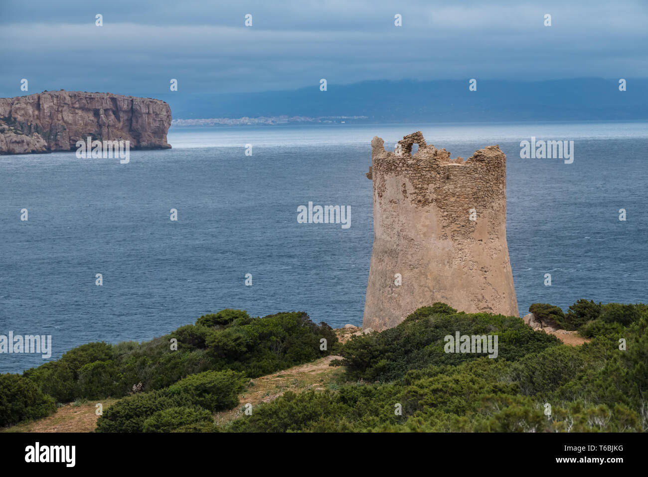 Buru hi-res stock photography and images - Alamy