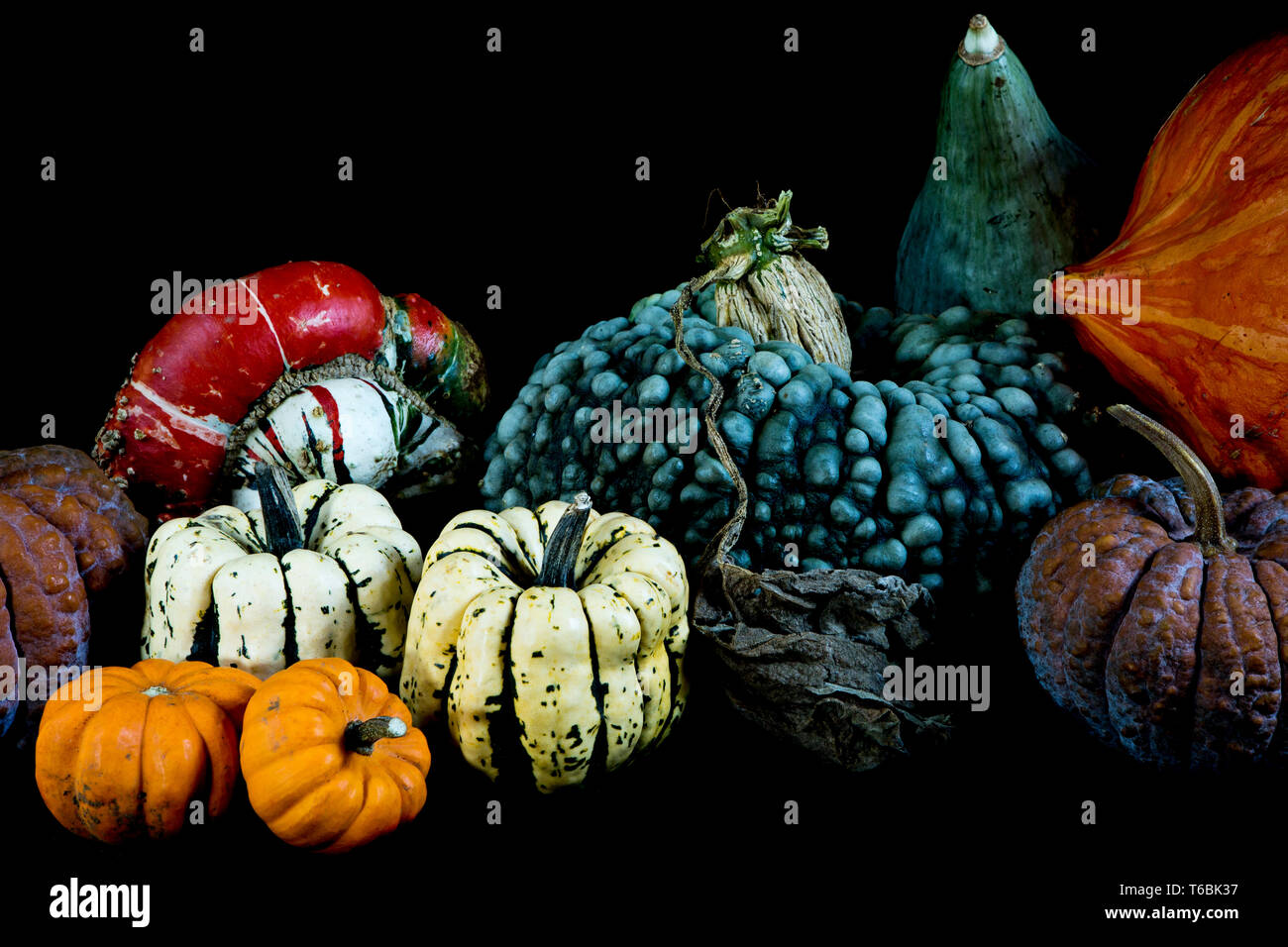 Knobbly pumpkins hi-res stock photography and images - Alamy