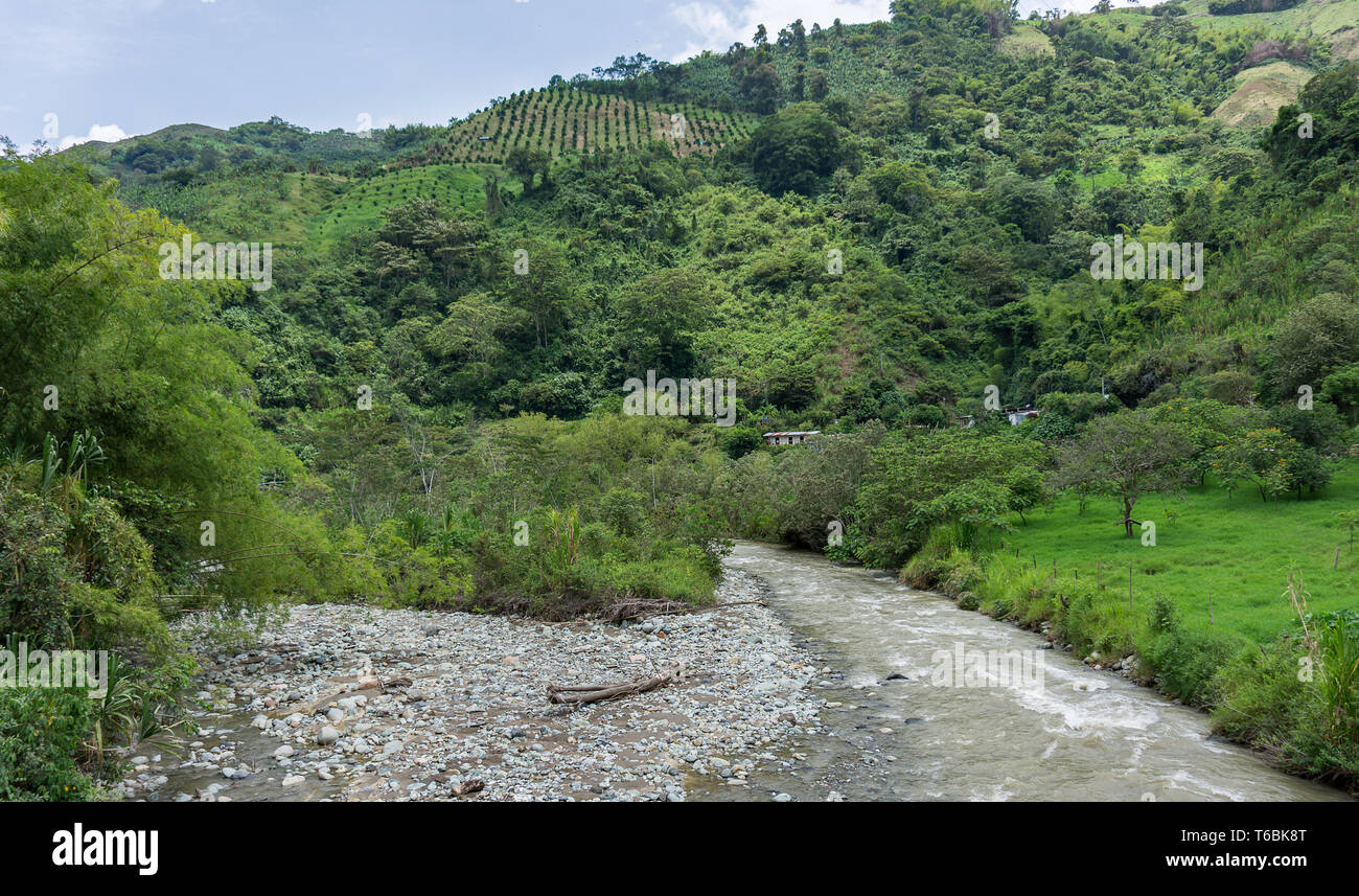 Small river in quindio, colombia Stock Photo - Alamy