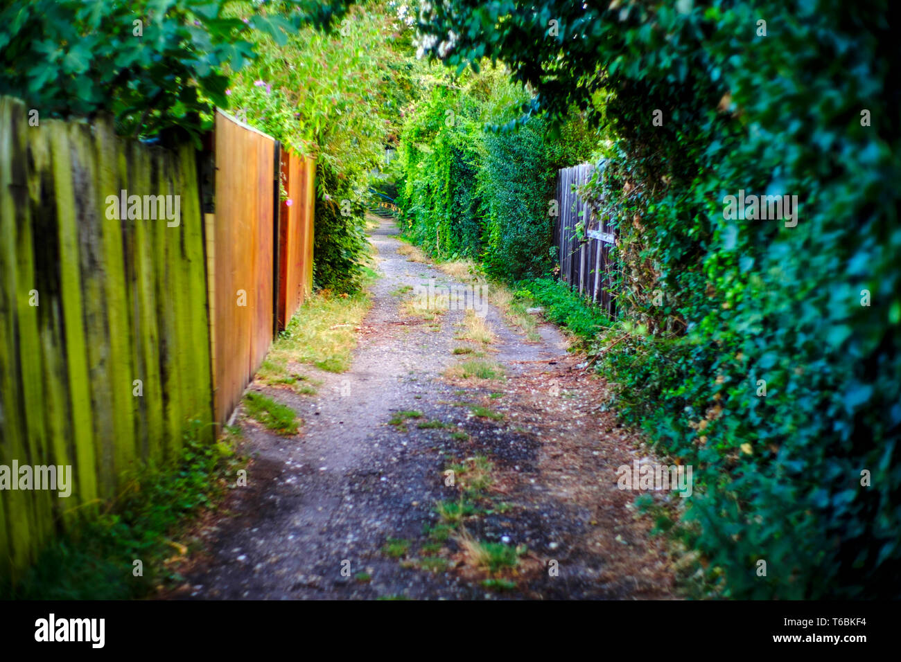 Drug pathway hi-res stock photography and images - Alamy