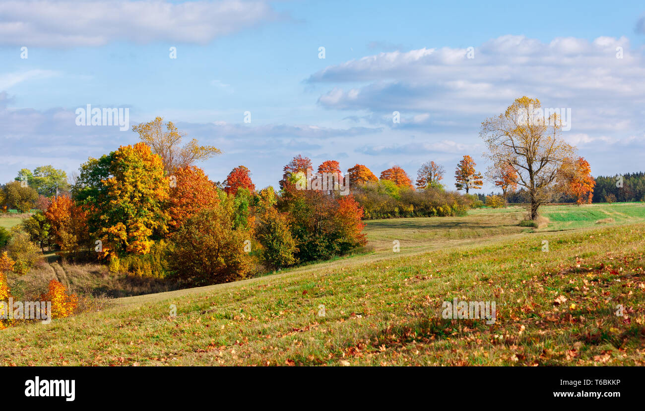 Autumn landscape with fall colored trees Stock Photo - Alamy