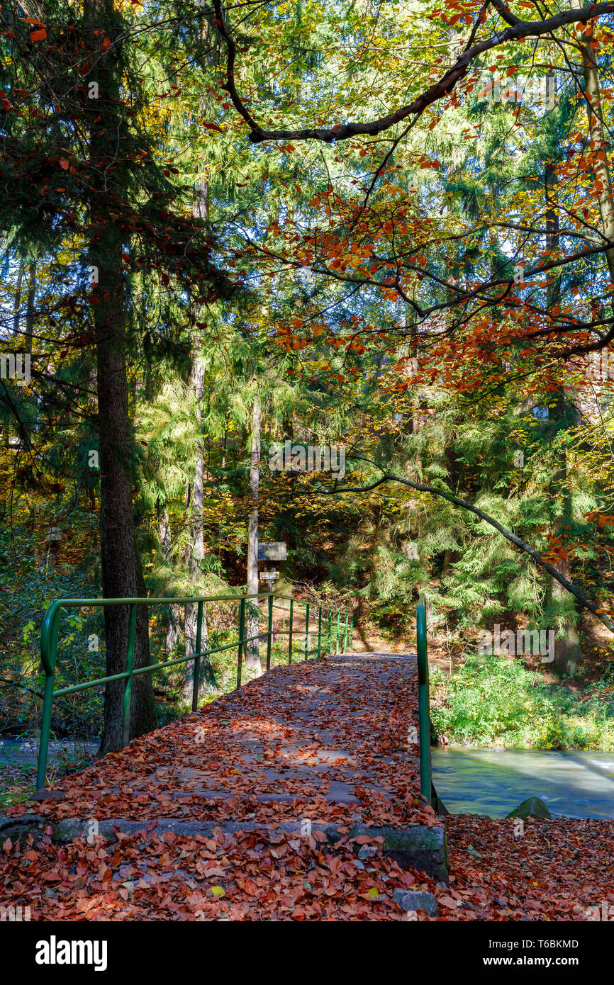 Autumn landscape with fall colored trees Stock Photo - Alamy