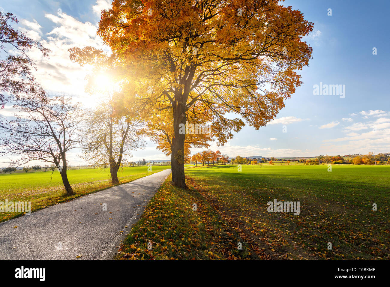 Autumn landscape with fall colored trees Stock Photo - Alamy