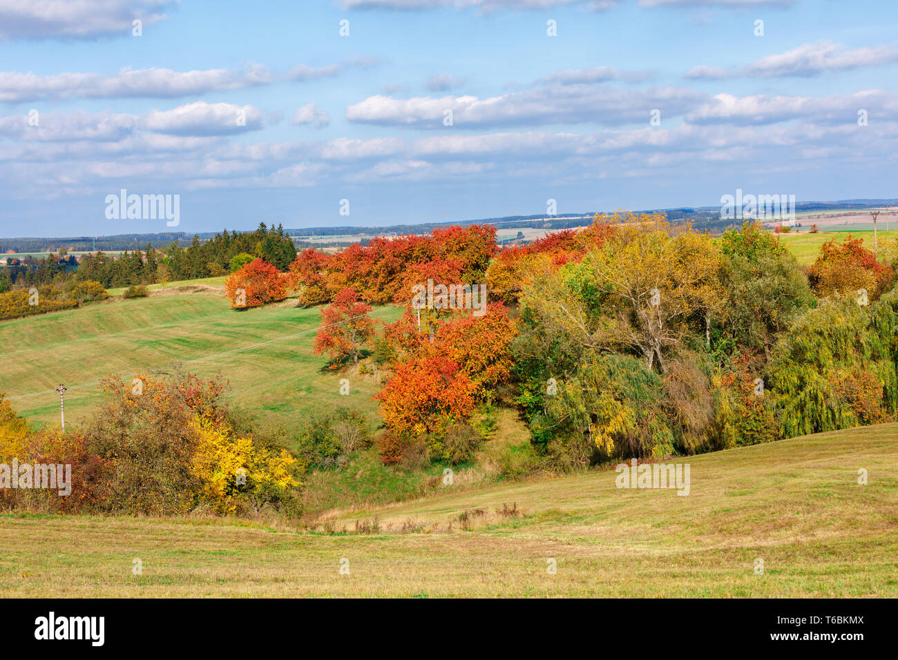 Fall colored trees hi-res stock photography and images - Alamy