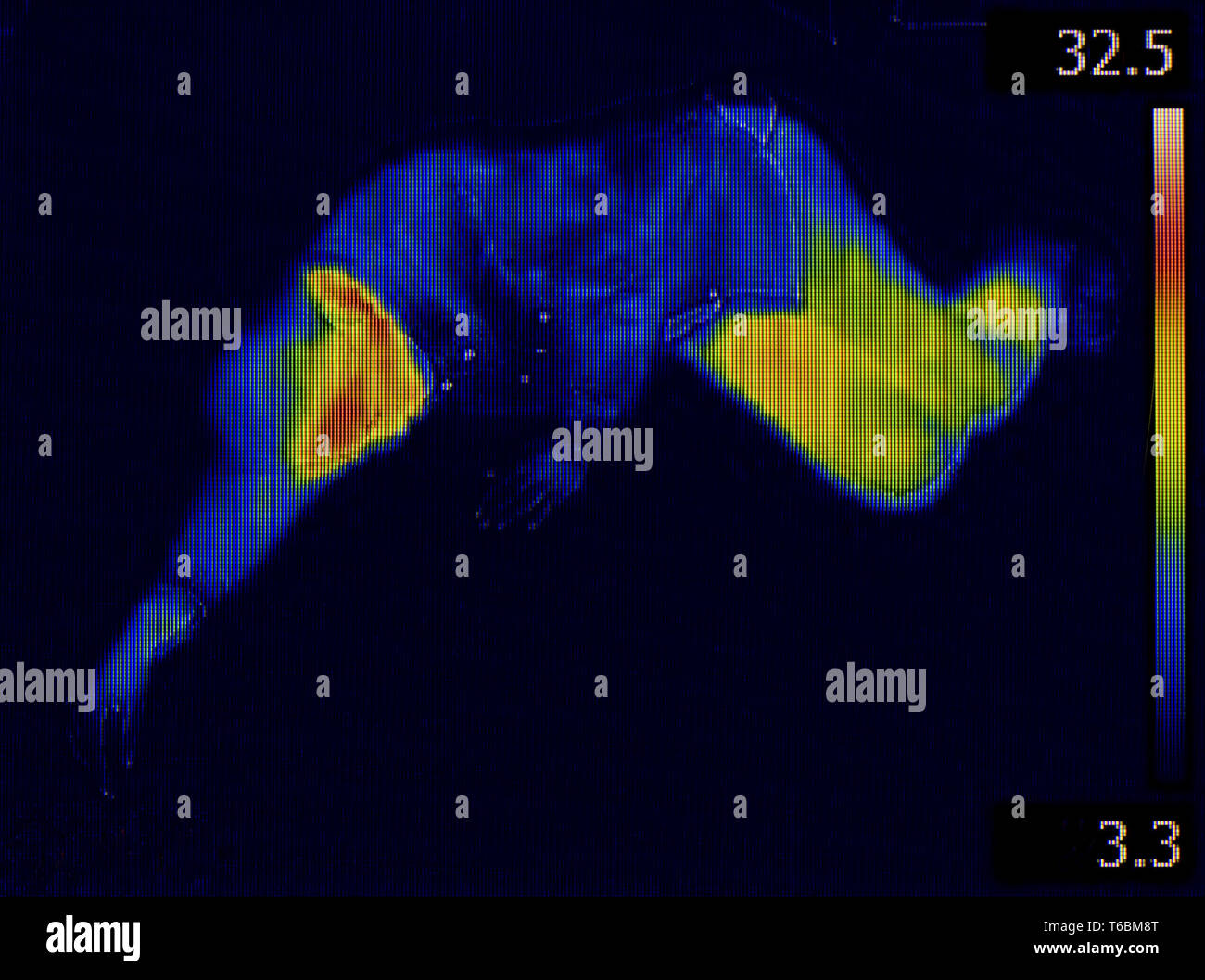 Human Body Infrared High Resolution Stock Photography and Images - Alamy