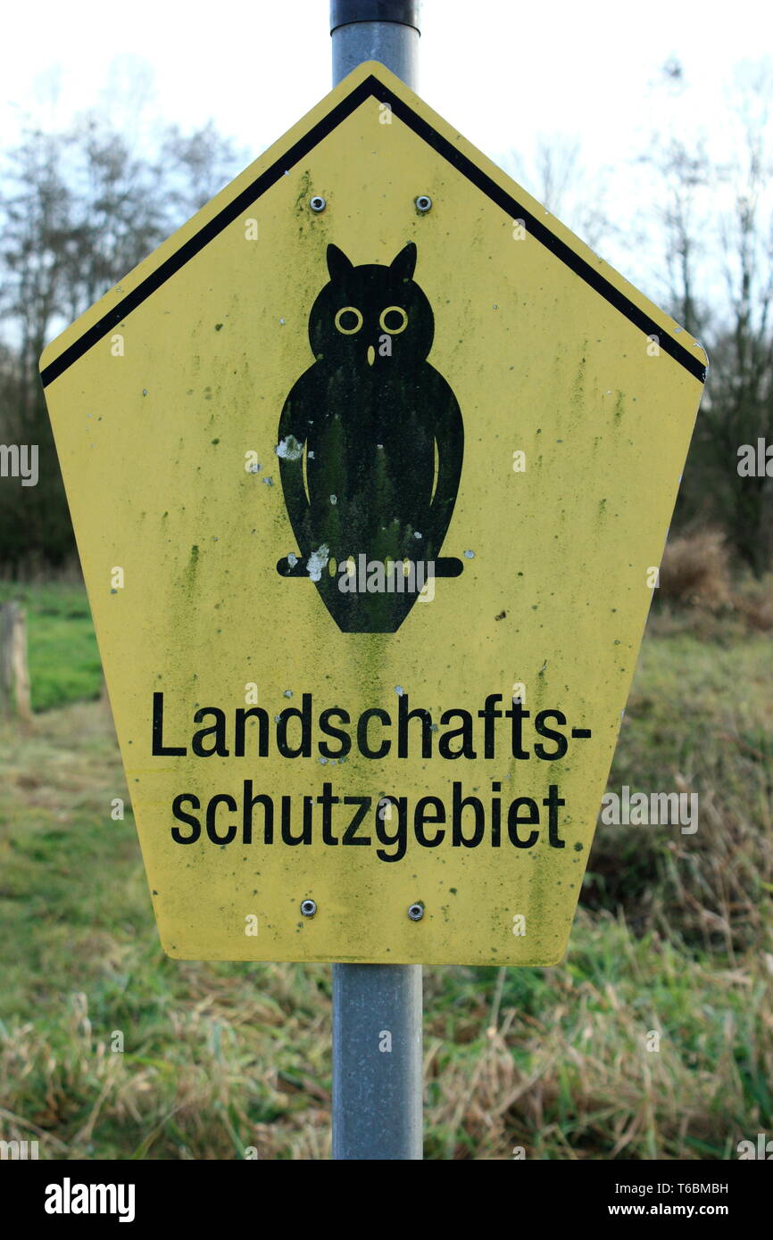 Shield with owl hi-res stock photography and images - Alamy