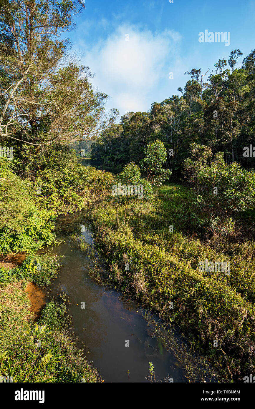 Madagascar beautiful landscape Stock Photo - Alamy