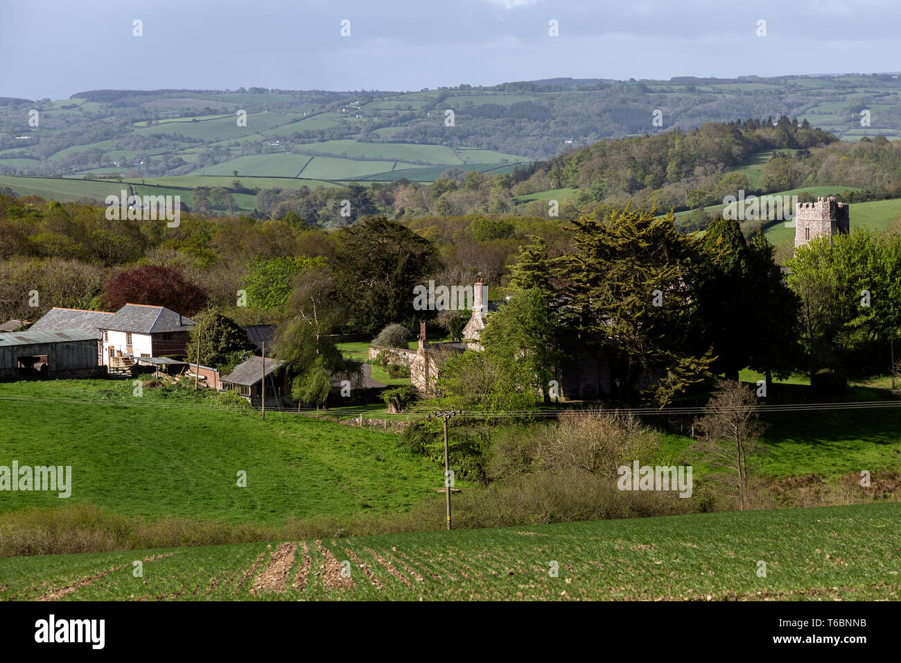 Devon hedgebank hi-res stock photography and images - Alamy