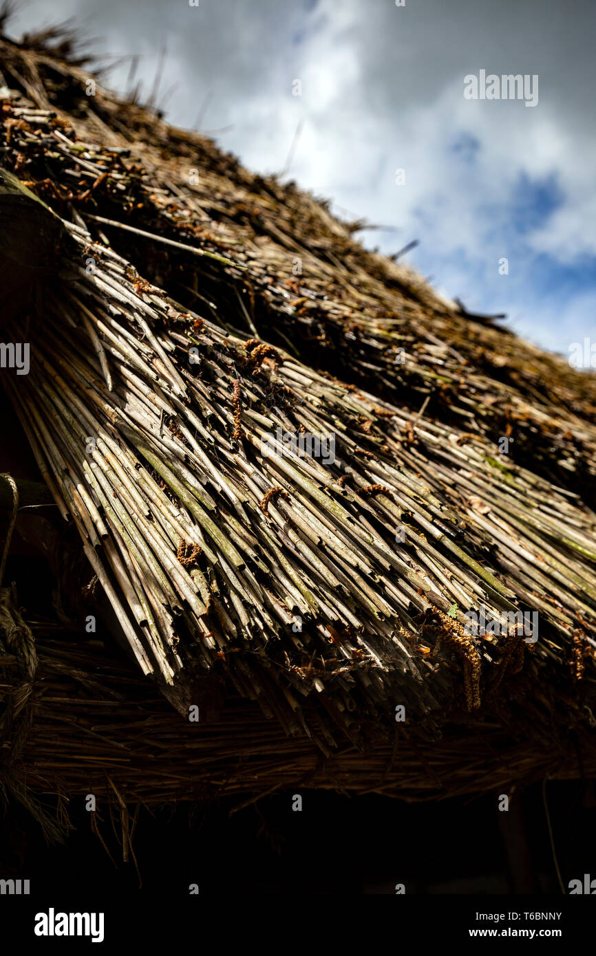 Thatched Roof, Mature Adult, Roof Thatcher, Roofer, Straw, Activity ...