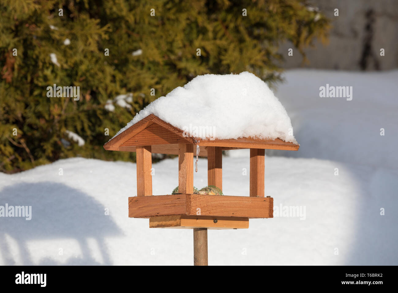 simple birdhouse in winter garden Stock Photo - Alamy