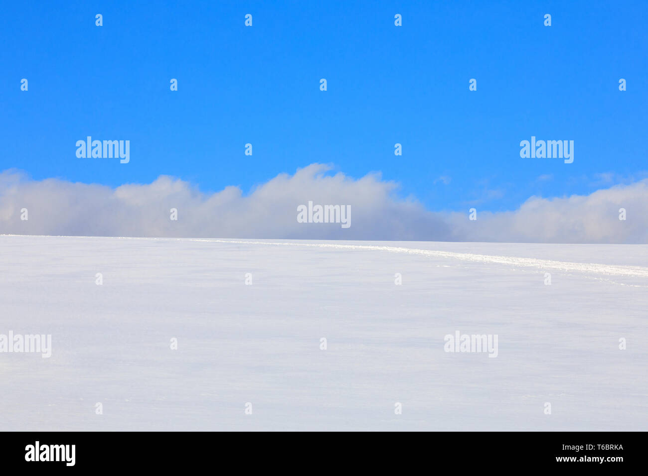 Simple winter background with blue sky Stock Photo - Alamy