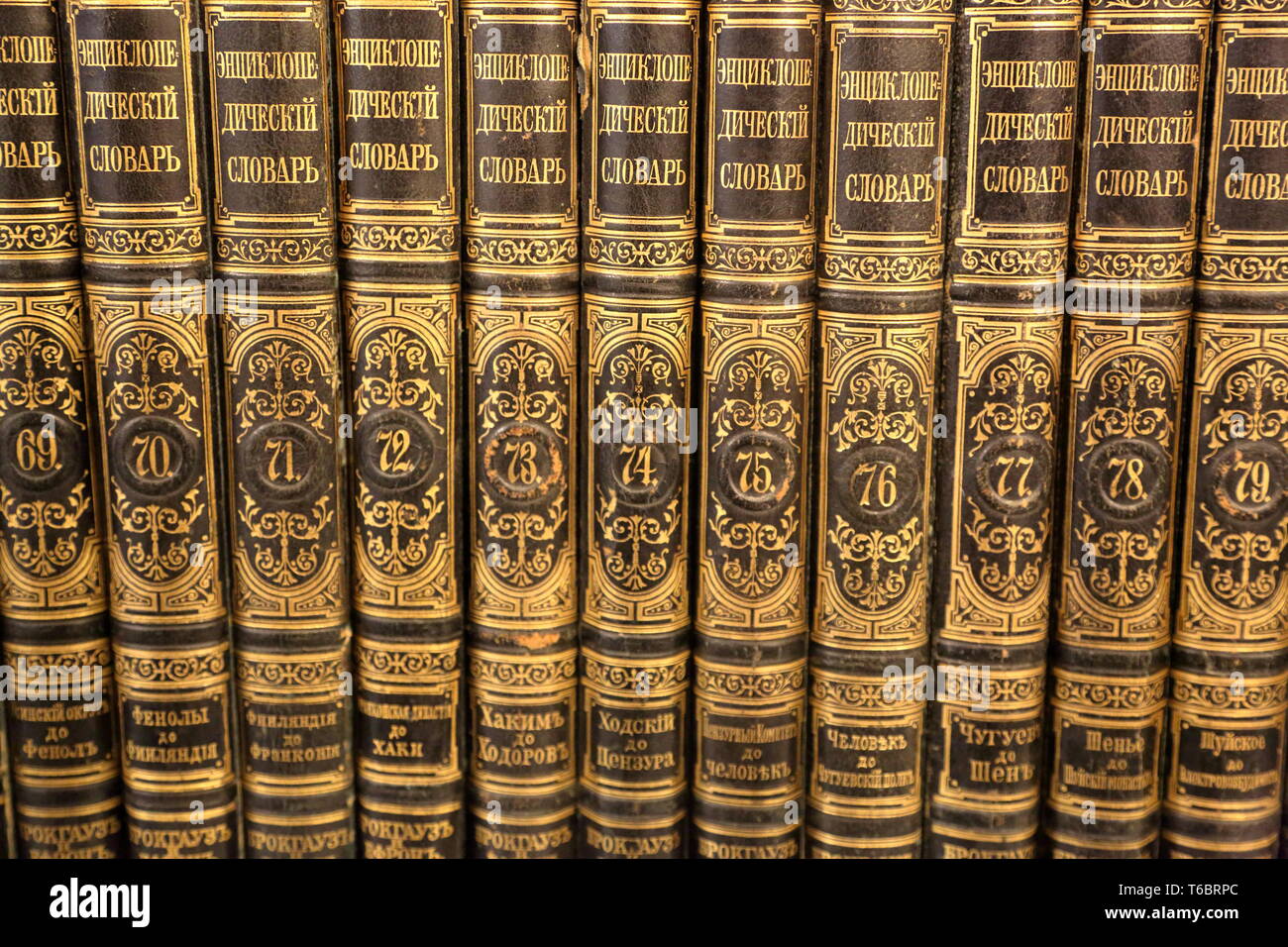 Shelves of books hi-res stock photography and images - Alamy