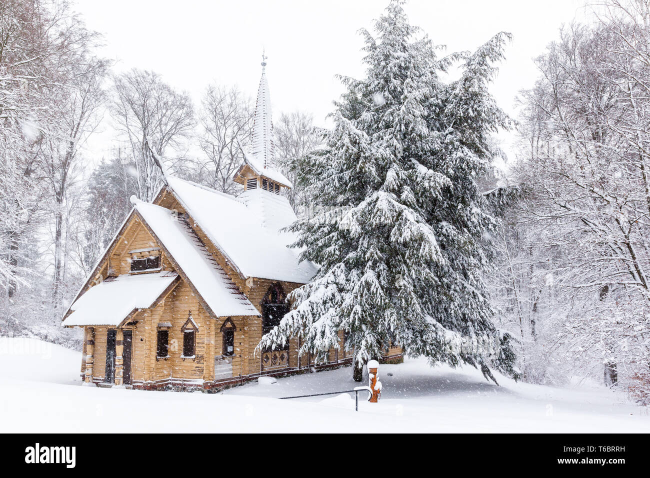 Winter in the National Park Harz, Germany Stock Photo - Alamy