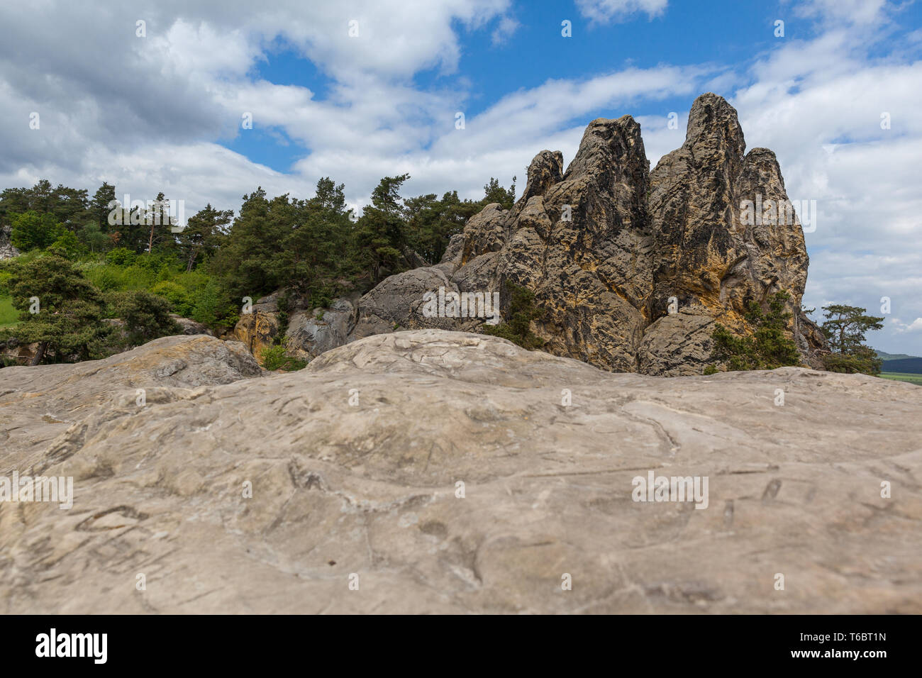 rock formation Teufelsmauer, Harz Mountains, Germany Stock Photo - Alamy