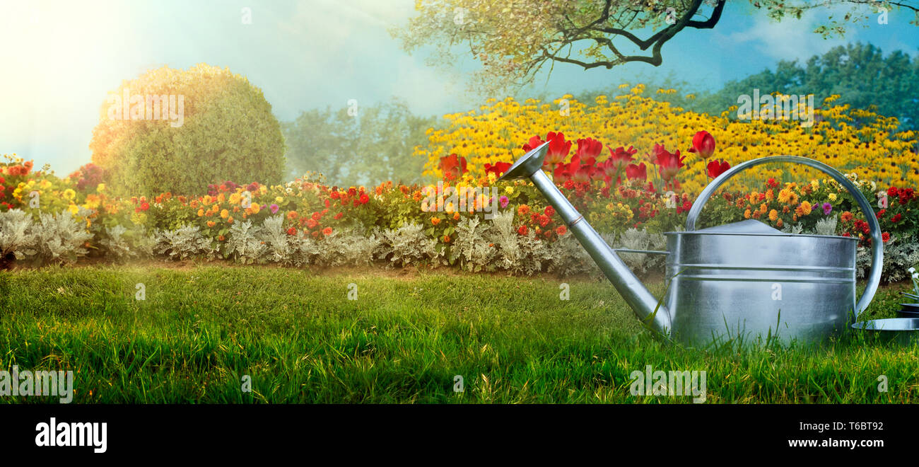 Spring garden. Water can on garden patio. Spring grass with flowers ...