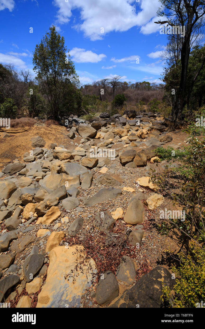 dry stone riverbed, Ankarana Madagascar Stock Photo - Alamy