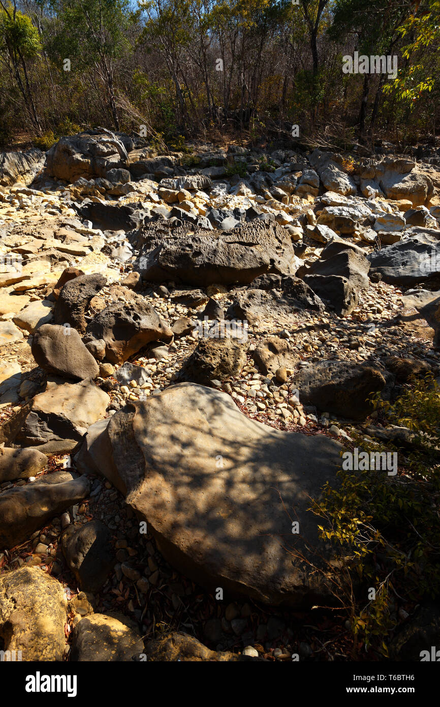 dry stone riverbed, Ankarana Madagascar Stock Photo - Alamy