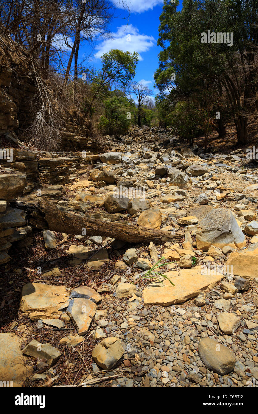 dry stone riverbed, Ankarana Madagascar Stock Photo - Alamy