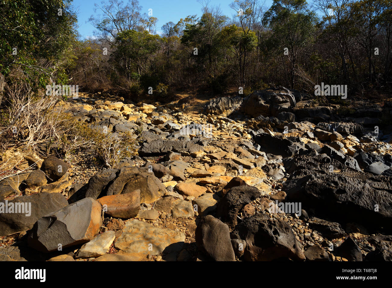 dry stone riverbed, Ankarana Madagascar Stock Photo - Alamy