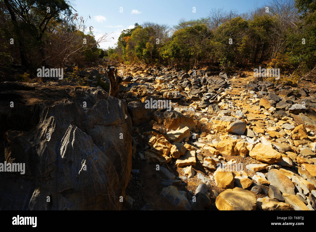 dry stone riverbed, Ankarana Madagascar Stock Photo - Alamy