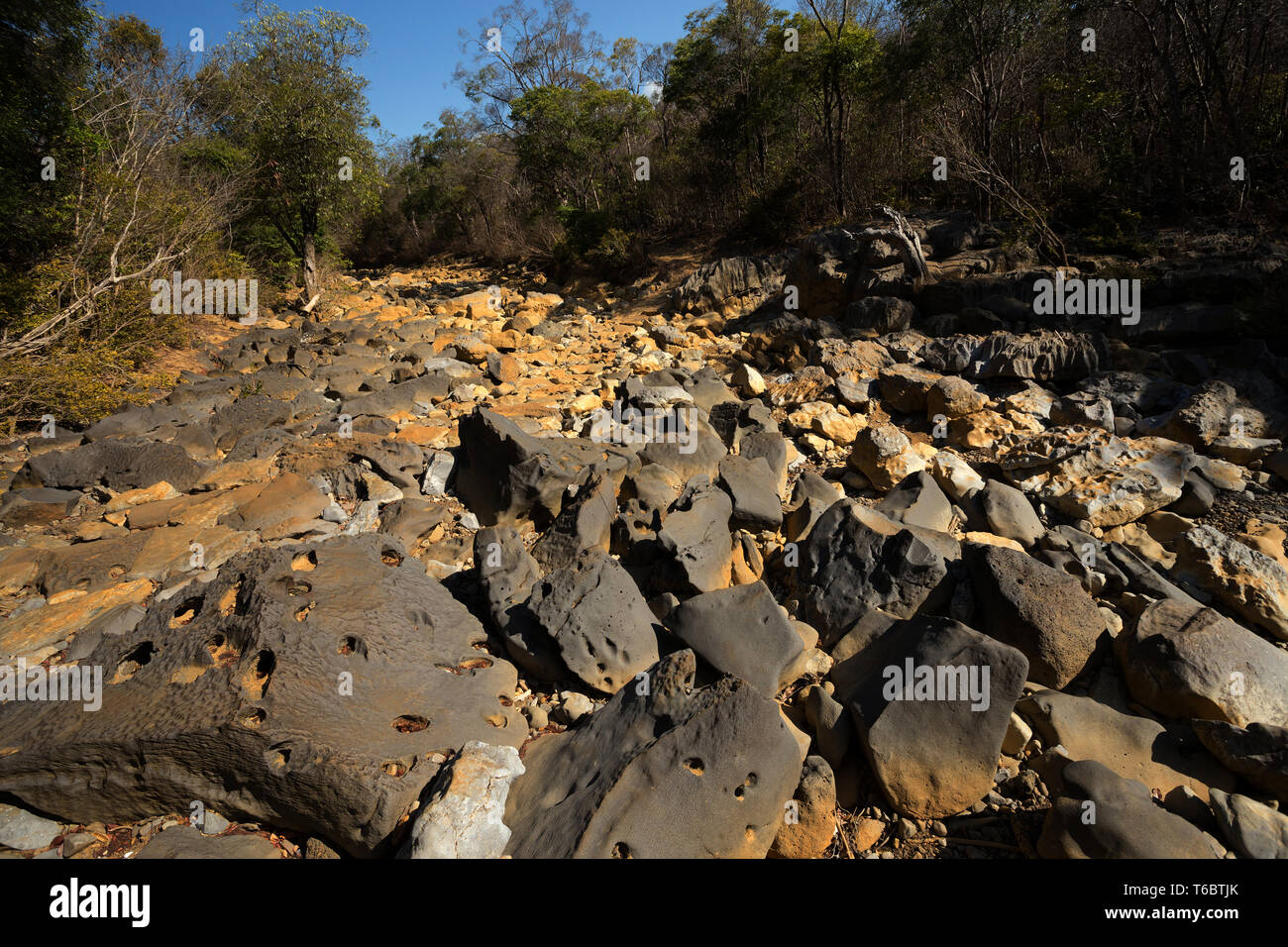 dry stone riverbed, Ankarana Madagascar Stock Photo - Alamy