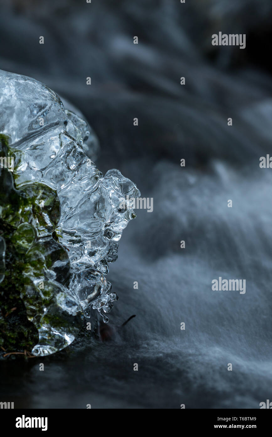 Plantaeautumn hi-res stock photography and images - Alamy