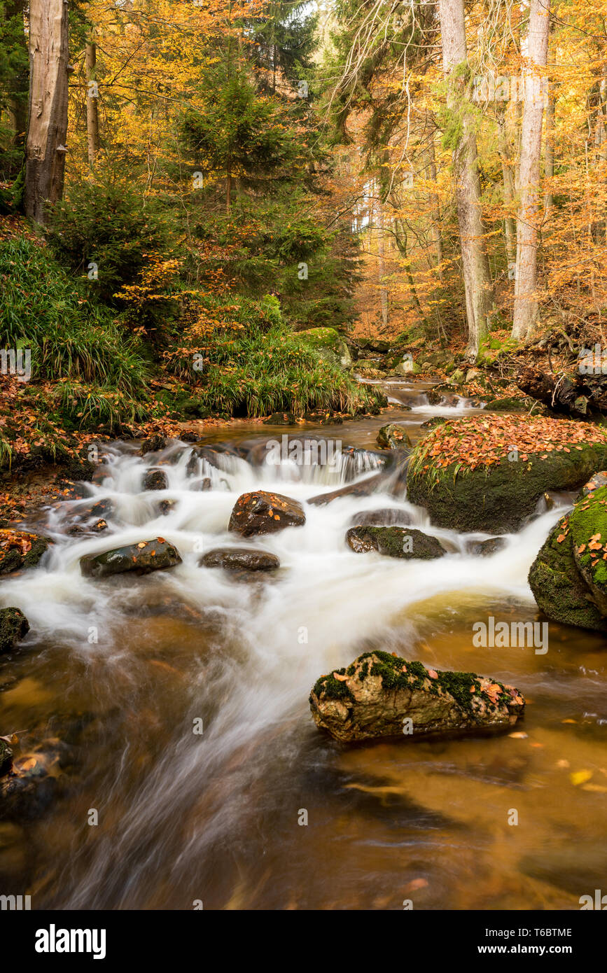 Autumn saxony hi-res stock photography and images - Alamy
