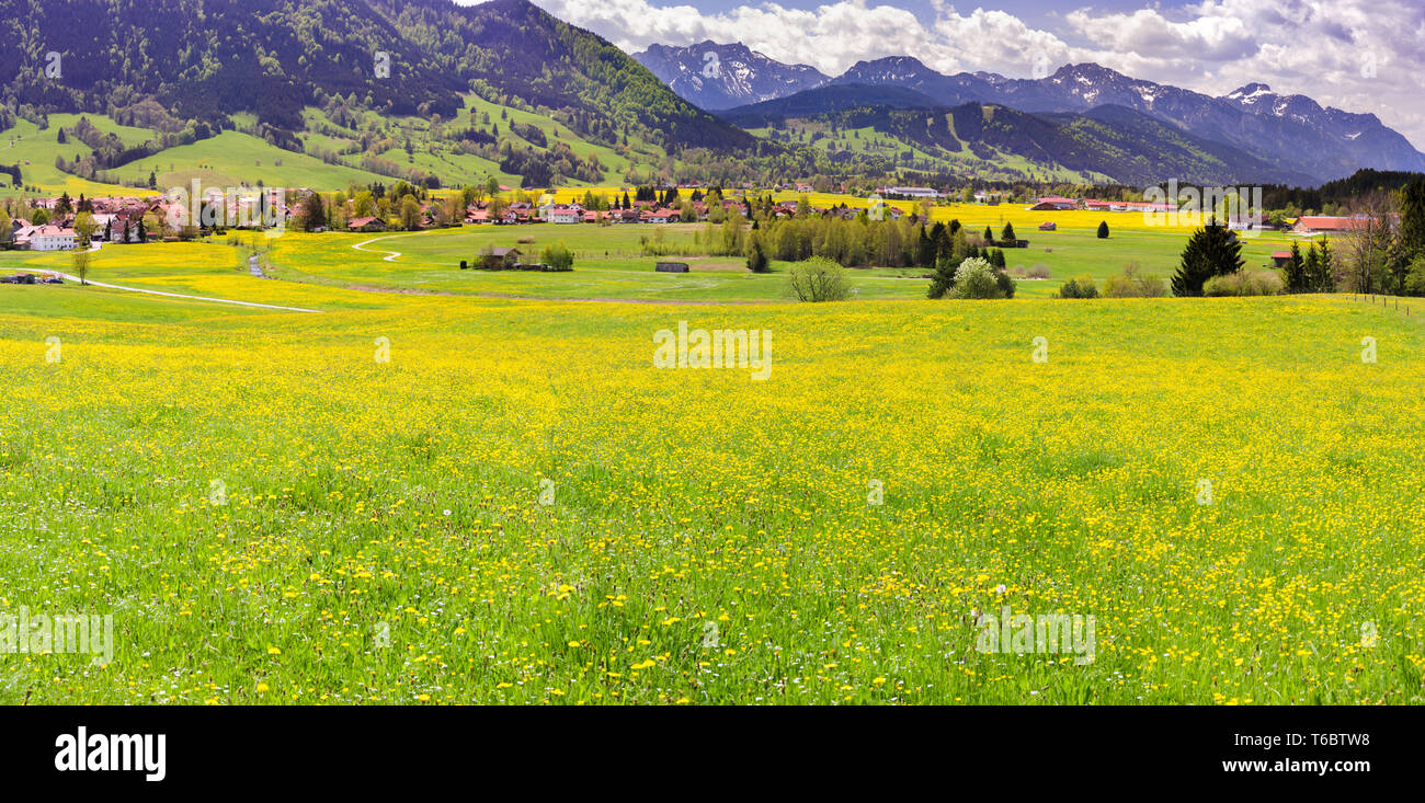 panorama landscape in Bavaria with alps mountains and meadow with ...