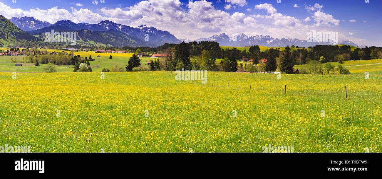 panorama landscape in Bavaria with alps mountains and meadow with ...