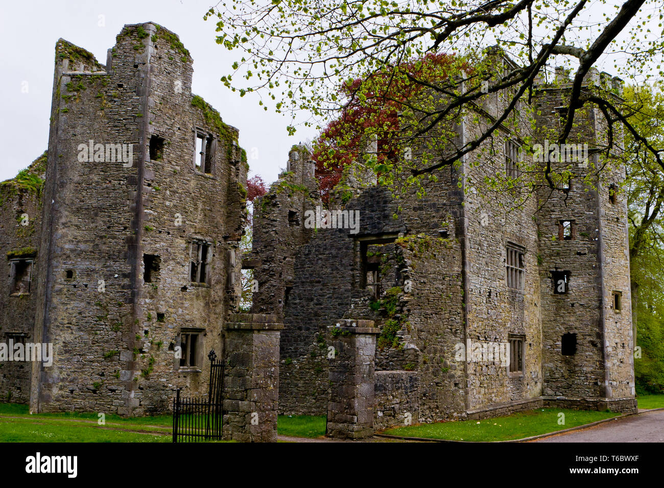 Mallow Castle, Ireland Stock Photo - Alamy