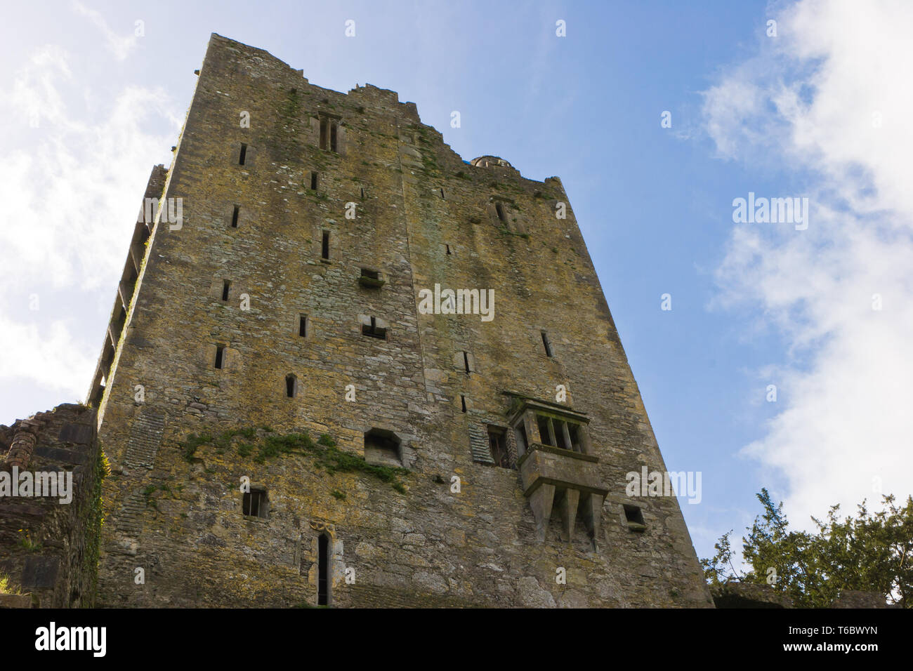 Blarney castle attraction hi-res stock photography and images - Alamy